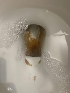 Toilet Rust Stains - Mann Plumbing